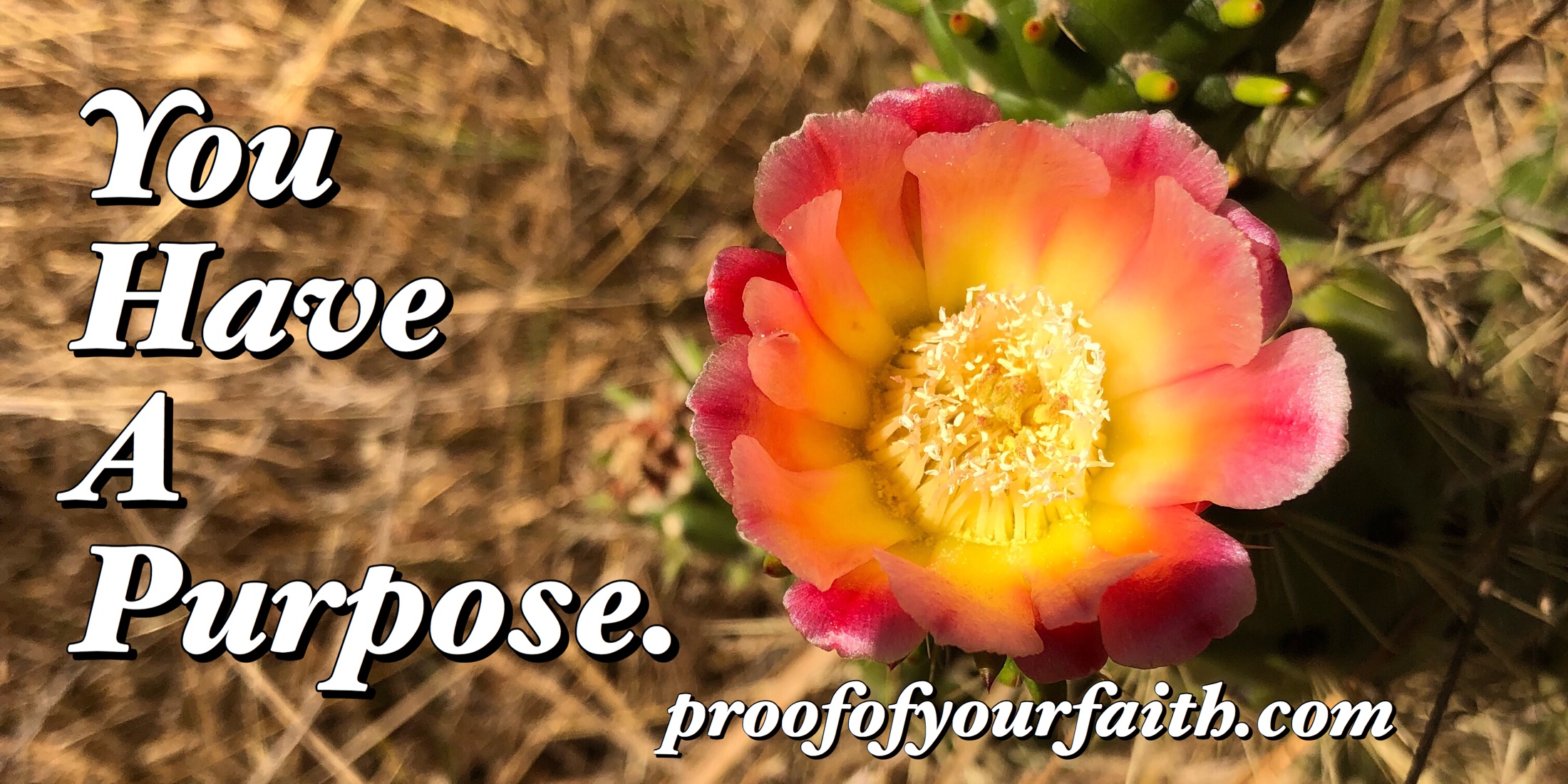 You Have A Purpose! – PROOF OF YOUR FAITH