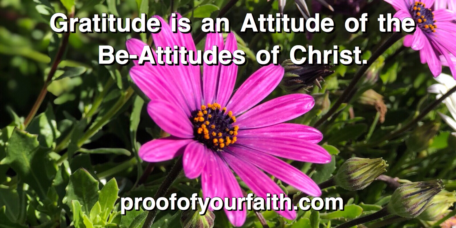 Gratitude is an Attitude of the Be-atitudes of Christ. – PROOF OF YOUR ...